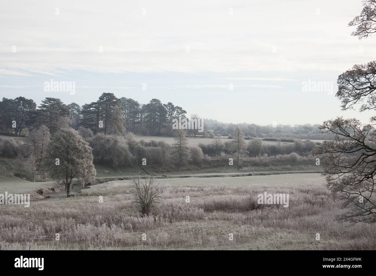 The River Evenlode on a cold frosty morning at Cornbury Park in ...