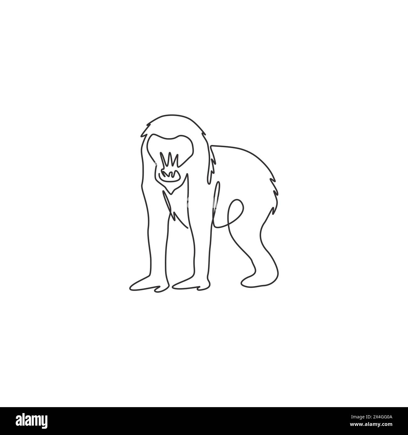 Male mandrill Stock Vector Images - Alamy