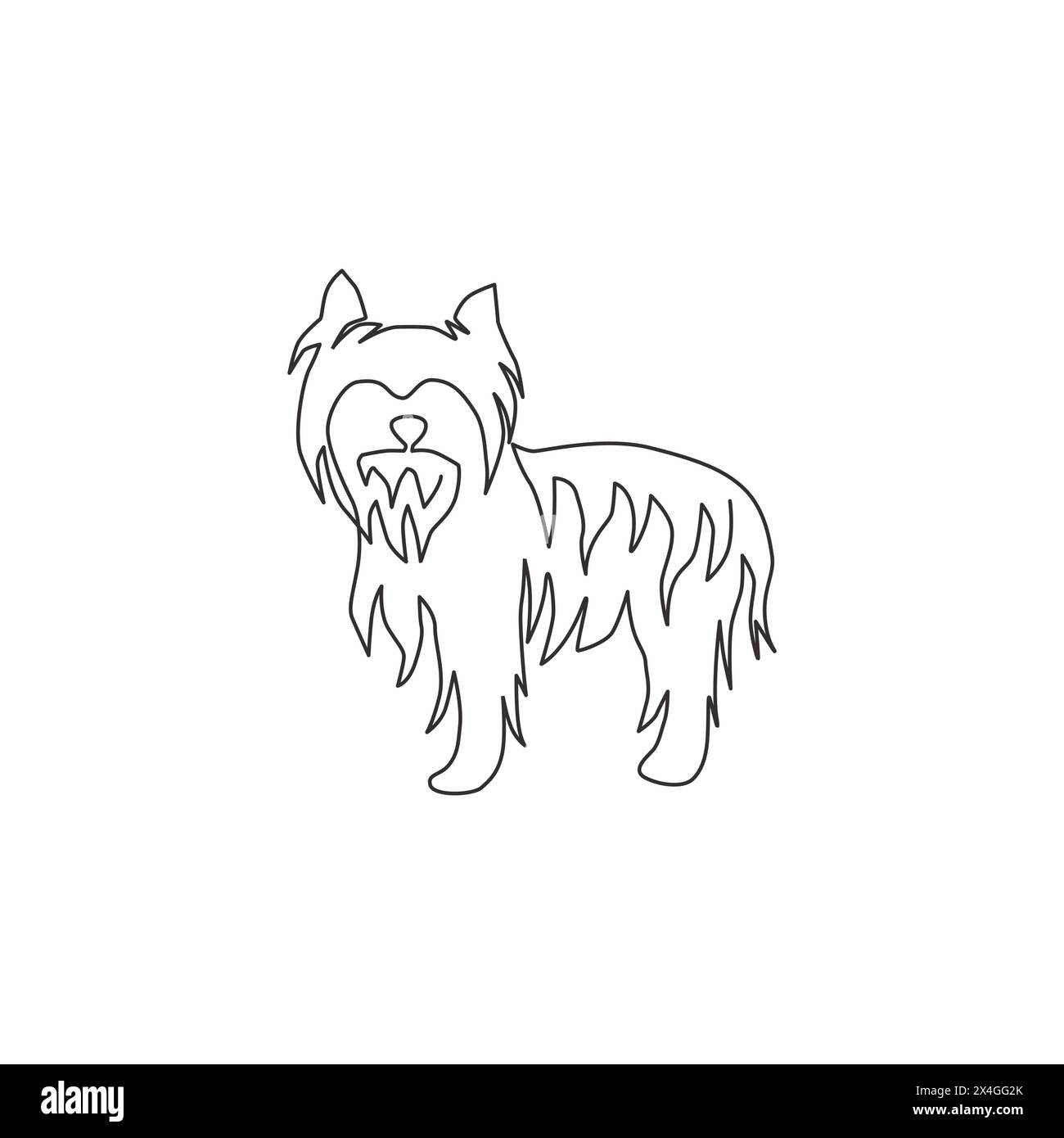 Single continuous line drawing of adorable yorkshire terrier dog for ...