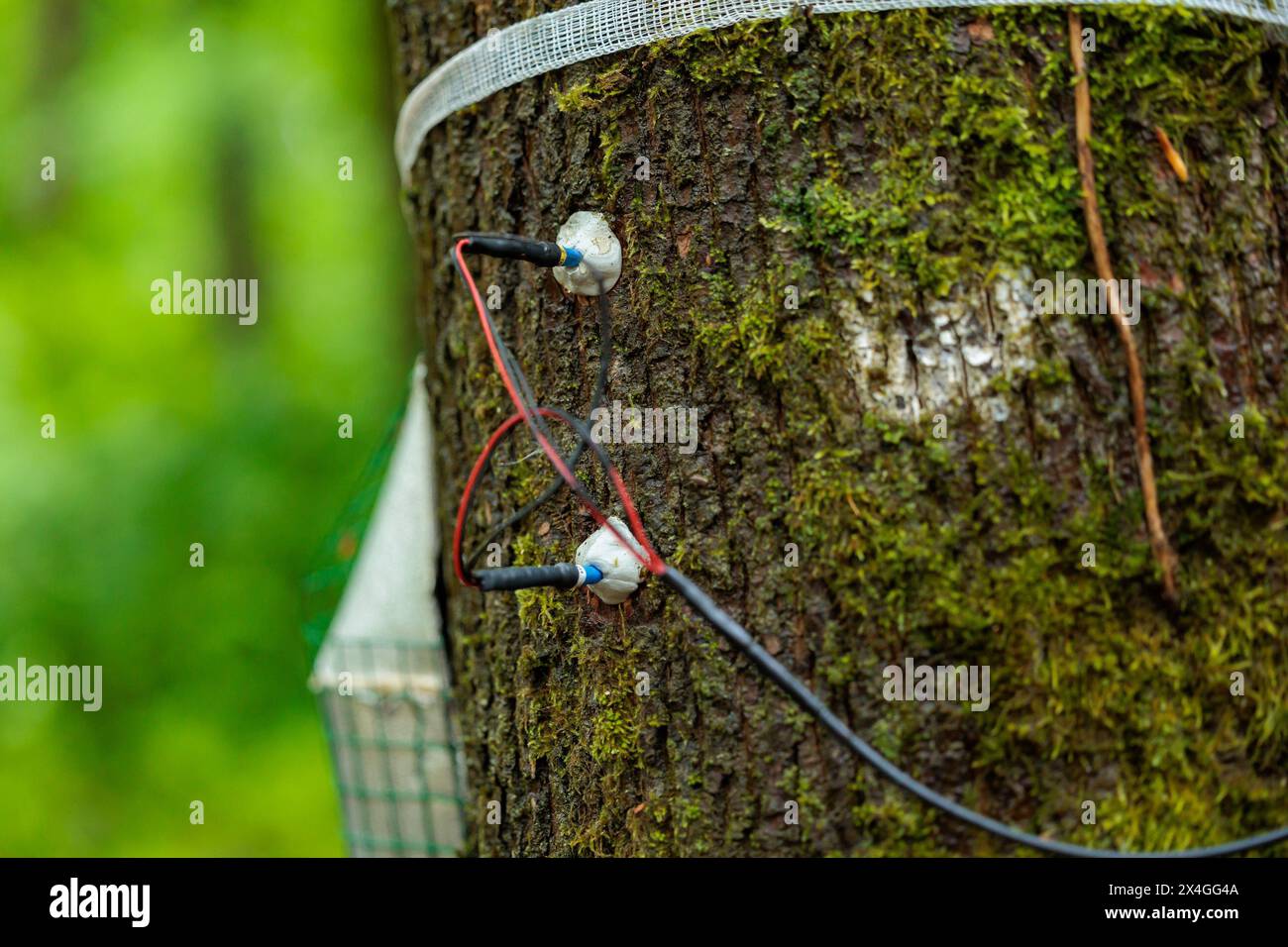 Forestry and water minister hi-res stock photography and images - Alamy