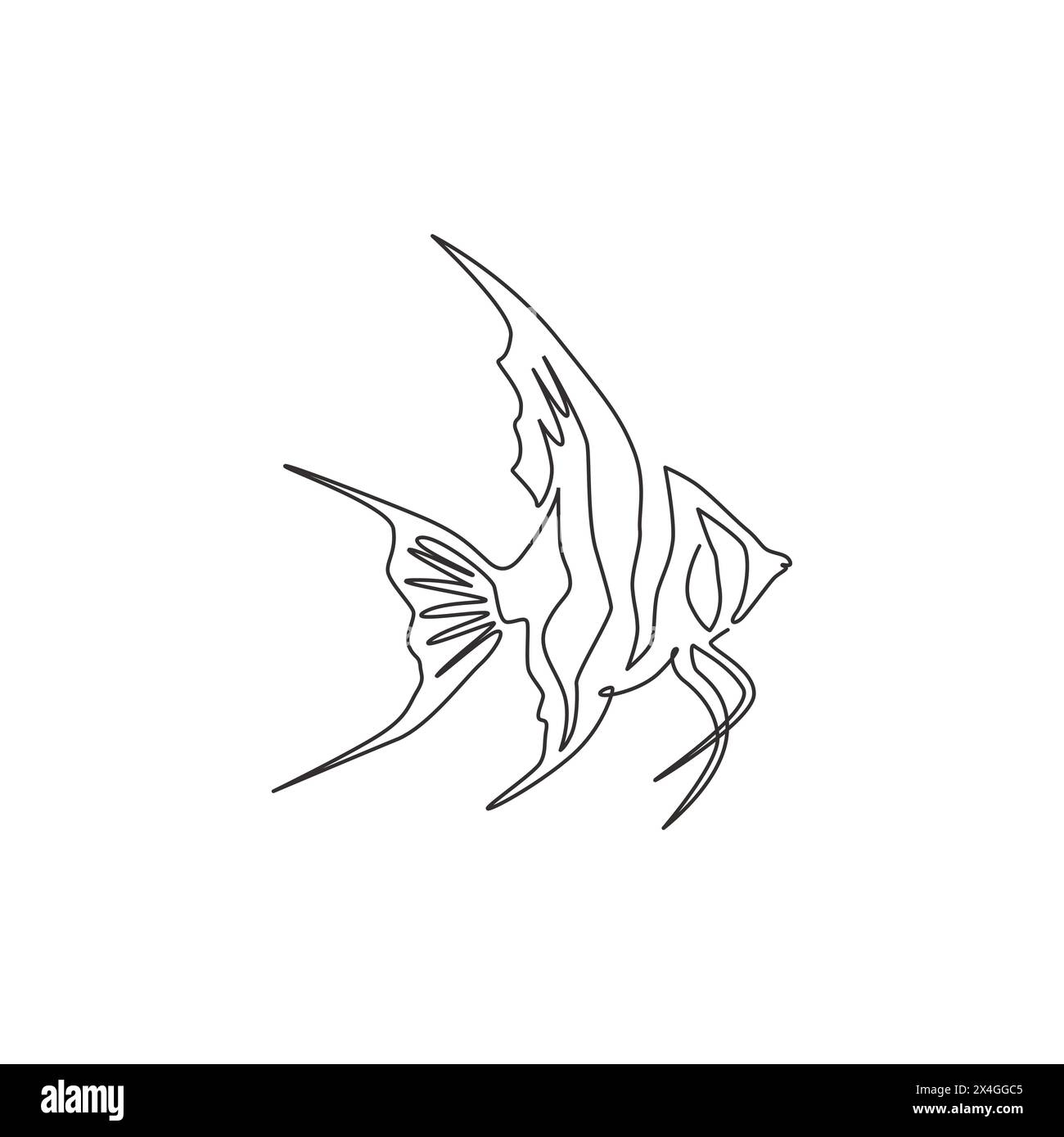 One continuous line drawing of cute freshwater angelfish for company ...