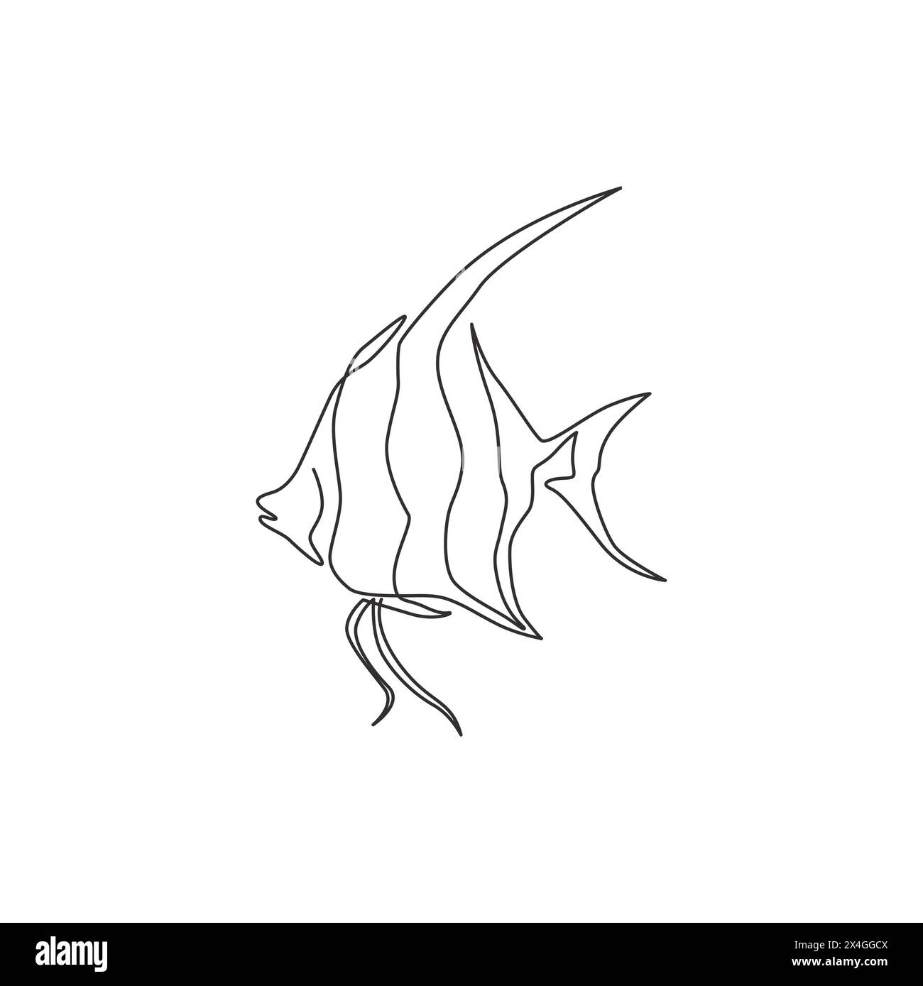 Single continuous line drawing of adorable freshwater angelfish for ...