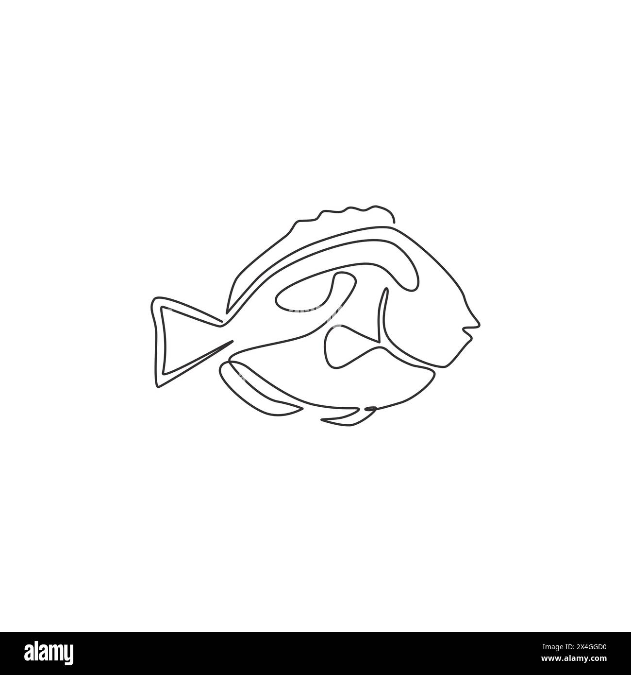 Blue surgeonfish vector vectors hi-res stock photography and images - Alamy