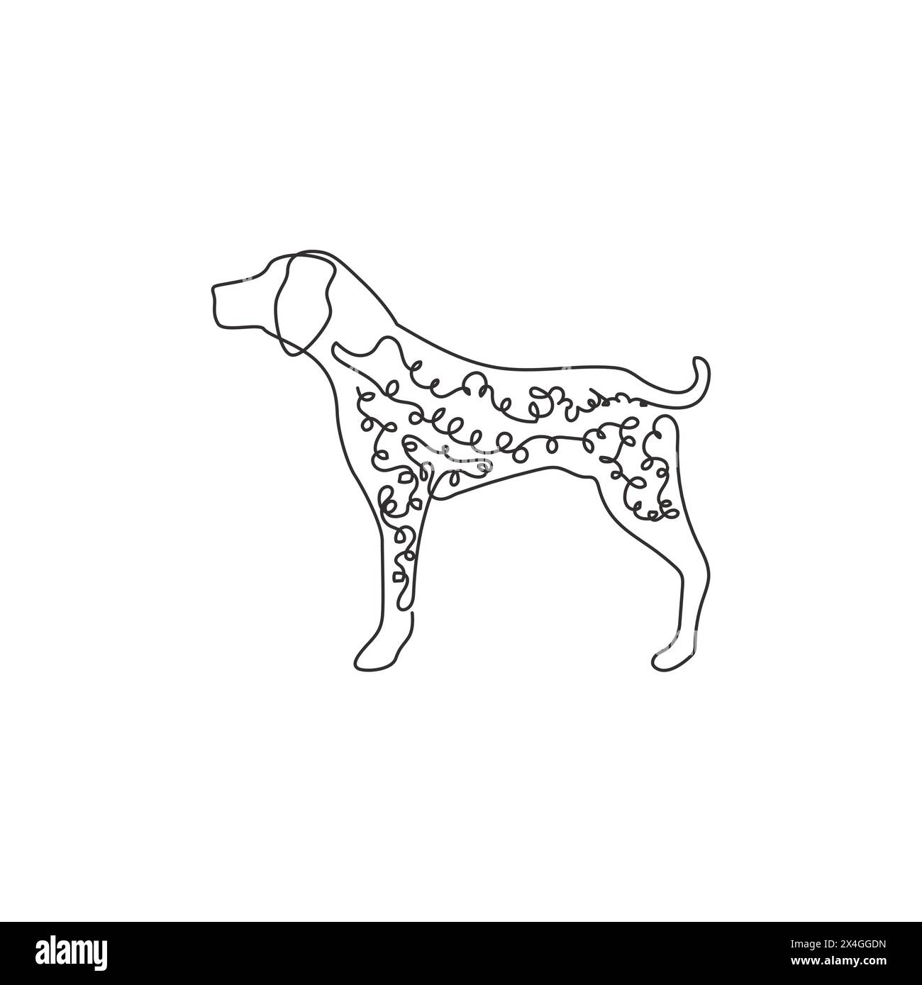 Single continuous line drawing of funny german shorthaired pointer for ...