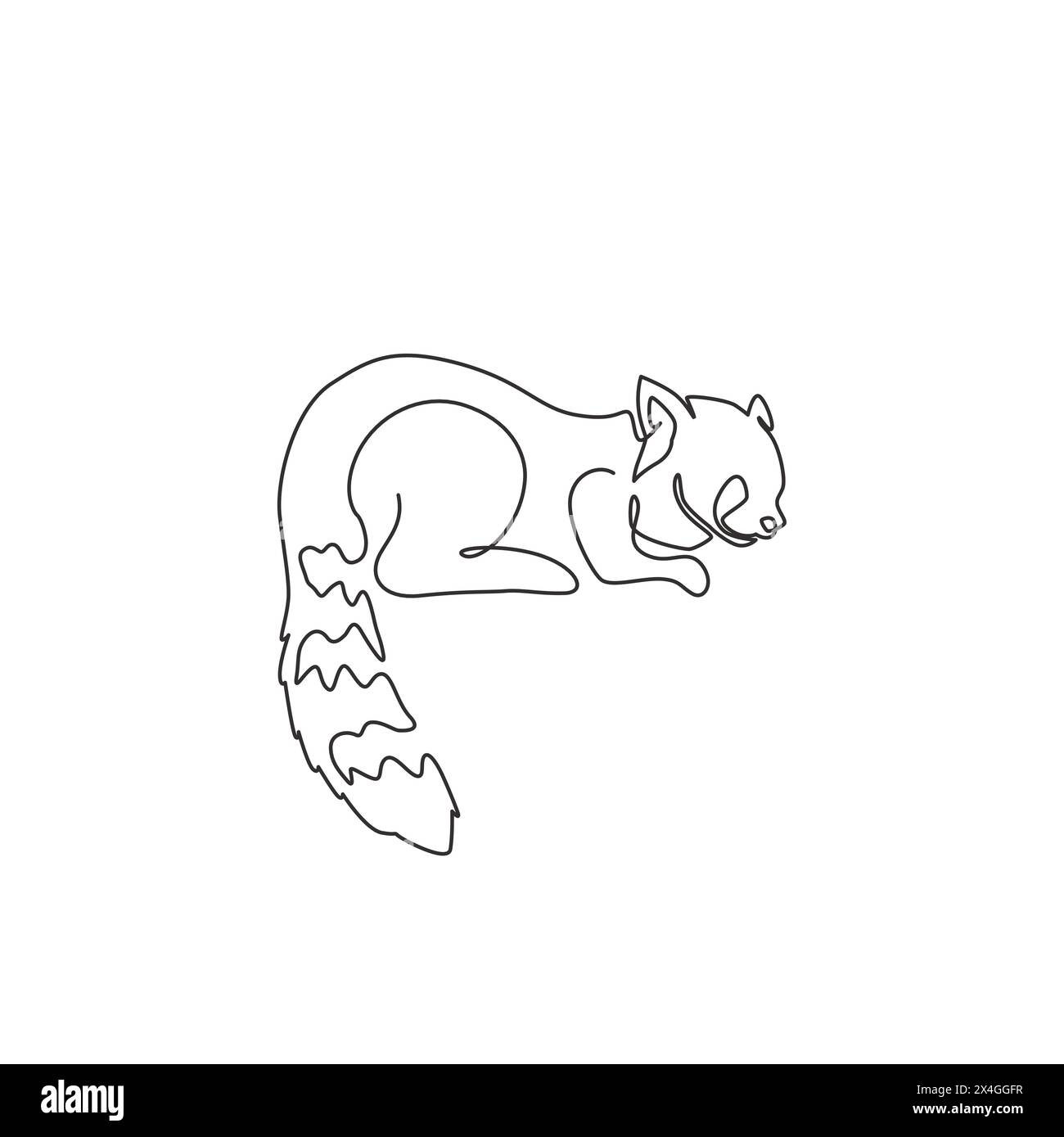 Panda adorable ailurus animal asia Stock Vector Images - Alamy