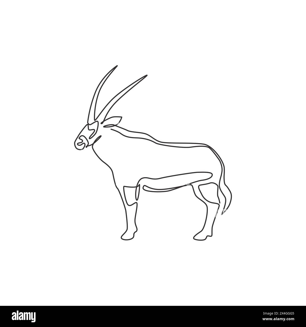 Oryx mascot hi-res stock photography and images - Alamy