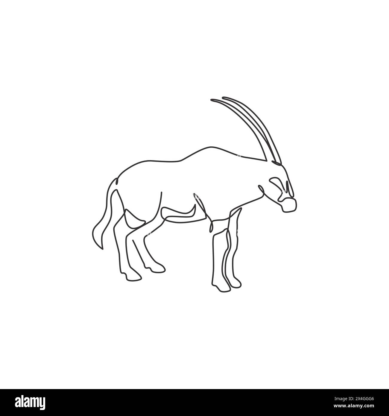 Single continuous line drawing of dashing oryx for company logo ...