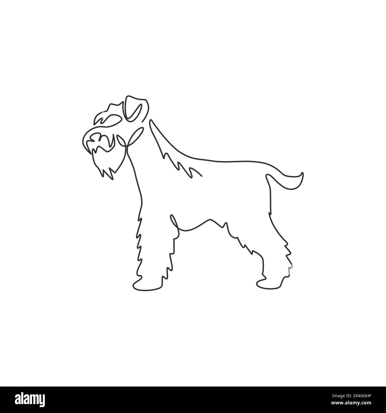 Single one line drawing of adorable miniature schnauzer for company ...