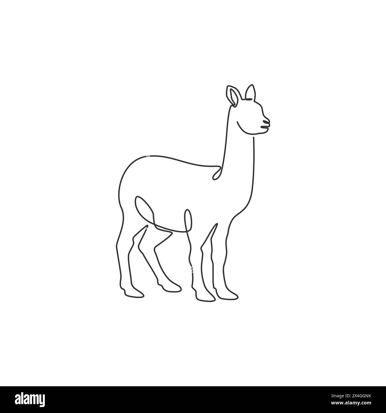 One continuous line drawing of funny alpaca for farm logo identity ...