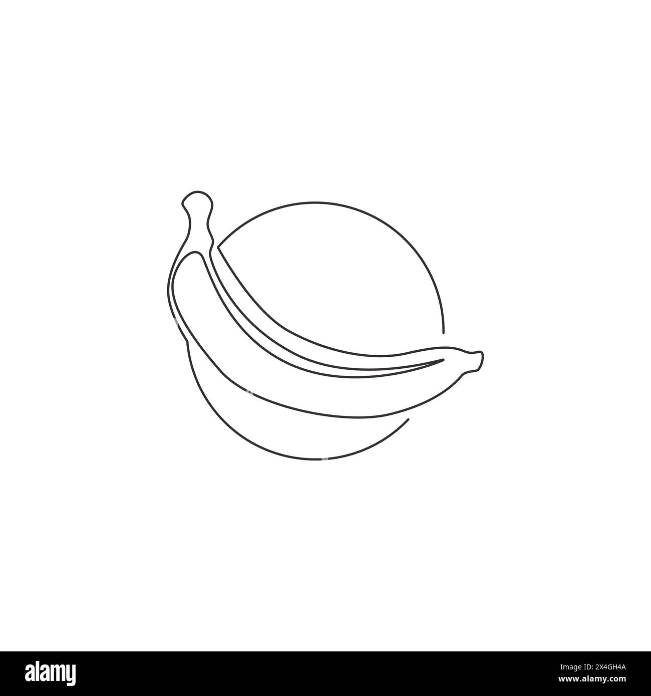 Single one line drawing of whole healthy organic banana for orchard ...