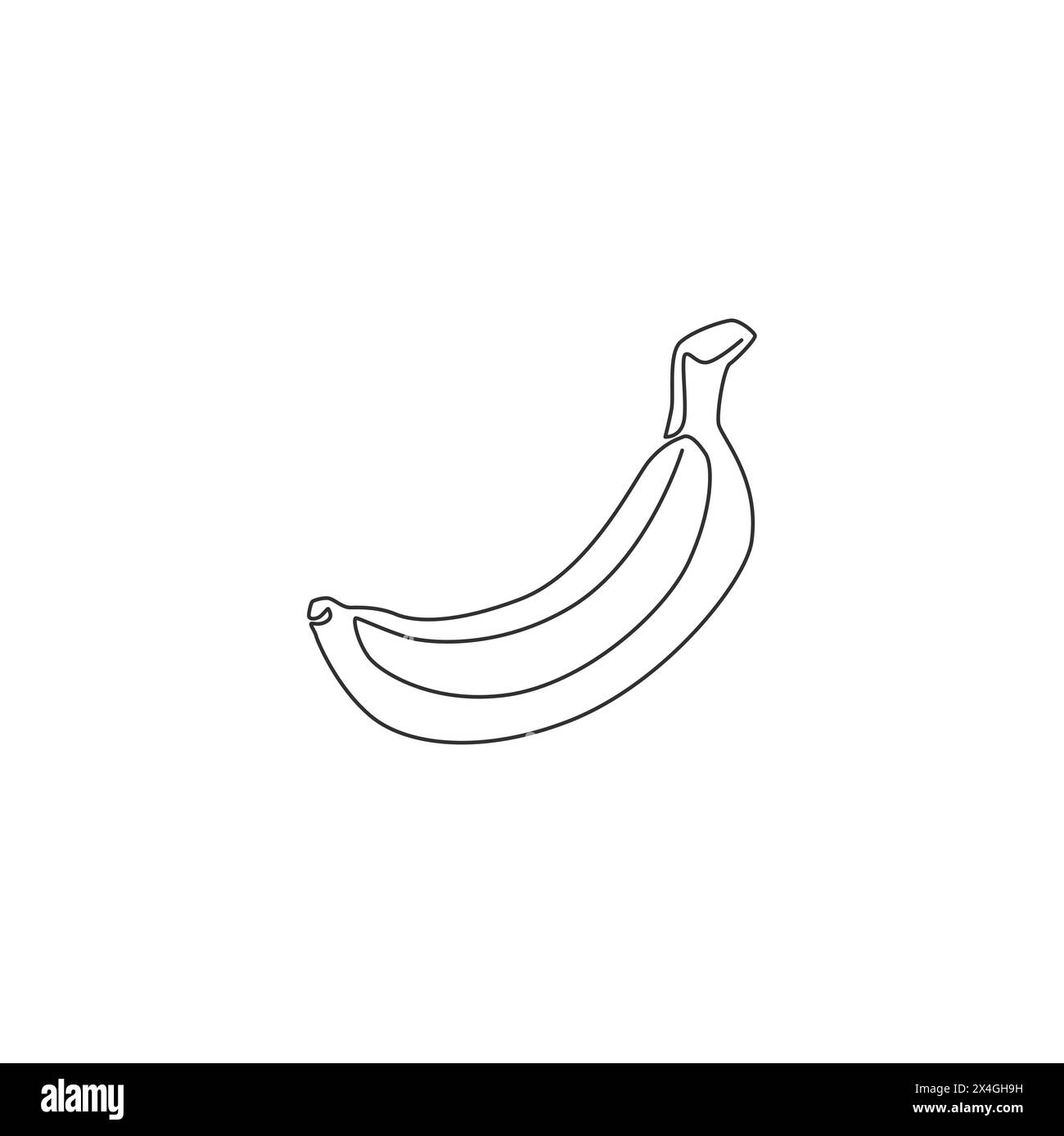 Single one line drawing of whole healthy organic banana for orchard ...