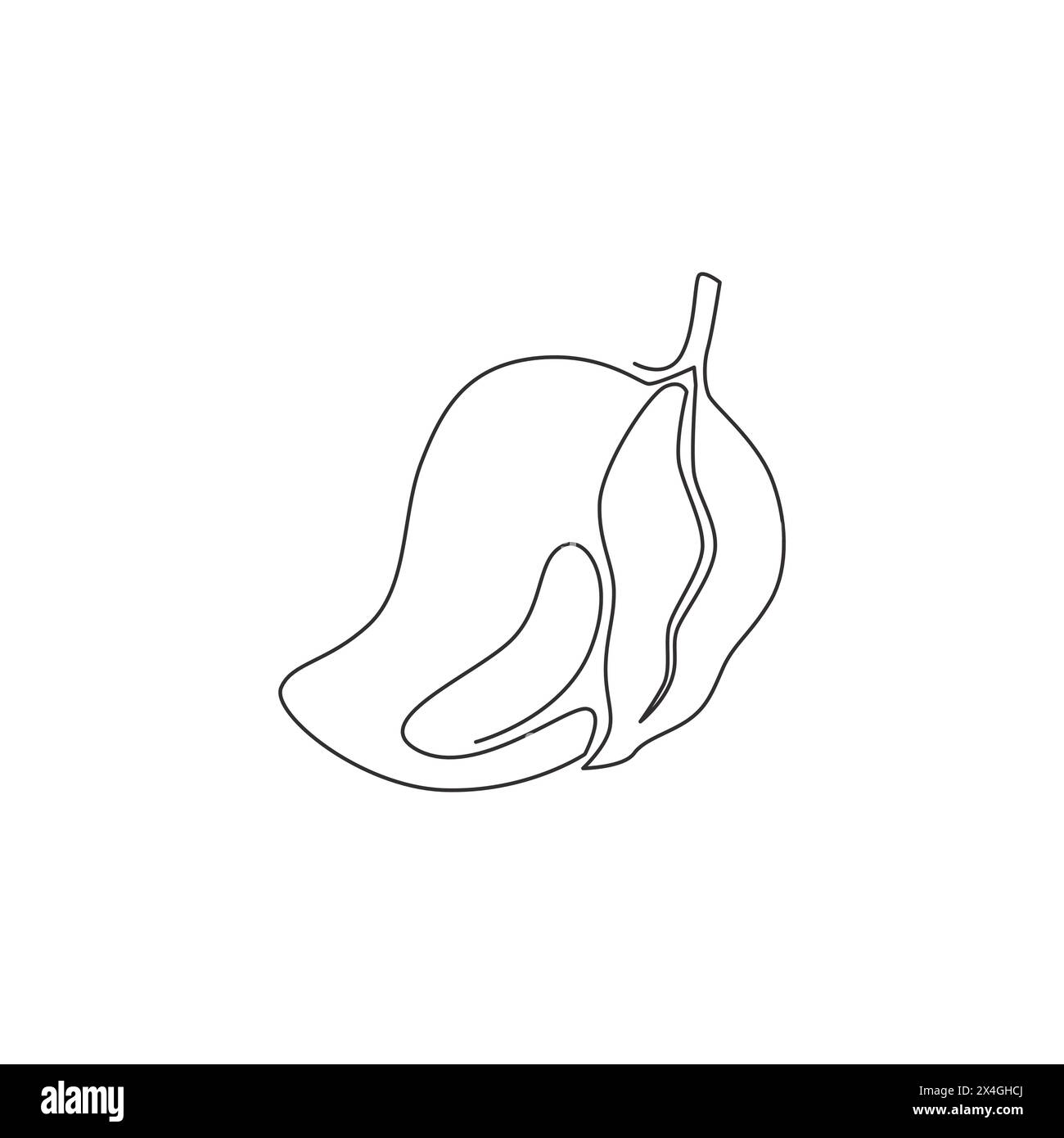 Single continuous line drawing of healthy mango organic for orchard ...