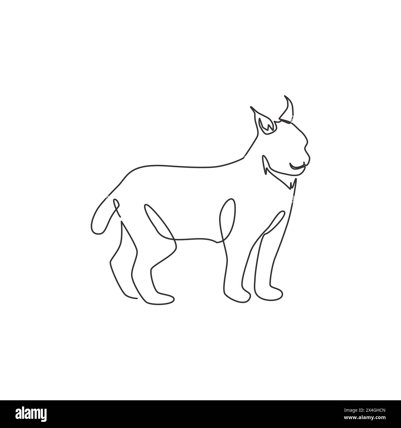 Single continuous line drawing of stout lynx cat for company logo ...