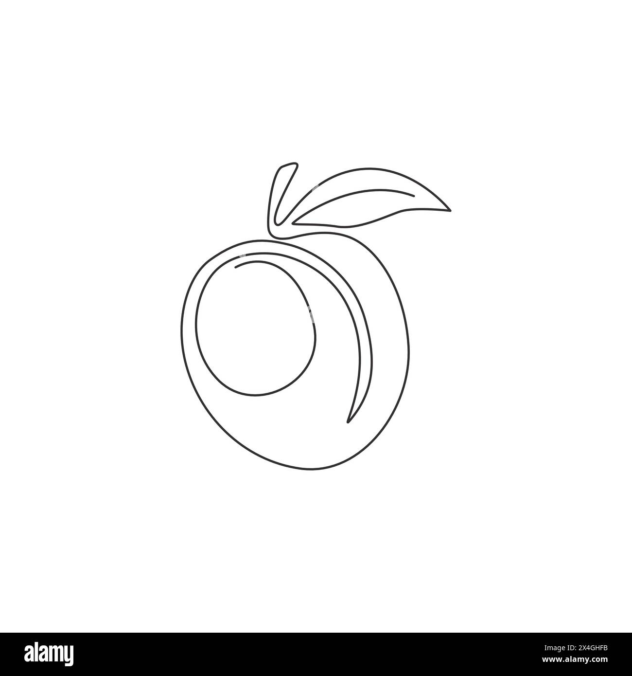 One single line drawing of whole healthy organic apricot for orchard ...