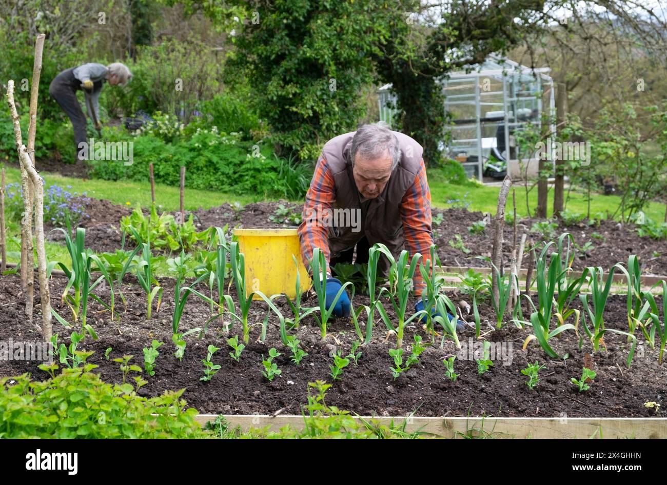 Raised bed gardening hi-res stock photography and images - Alamy