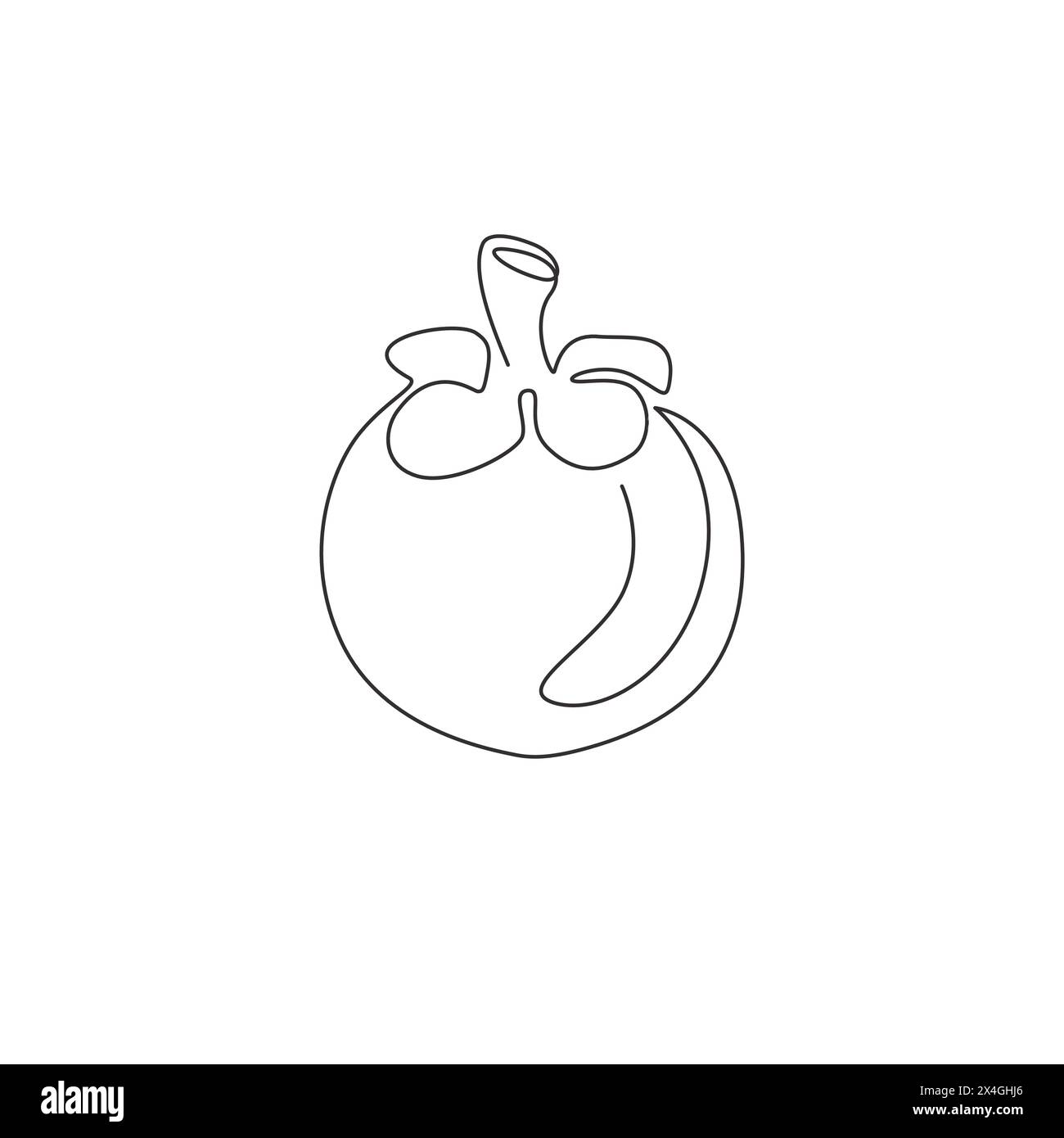 Single continuous line drawing whole round healthy organic mangosteen ...