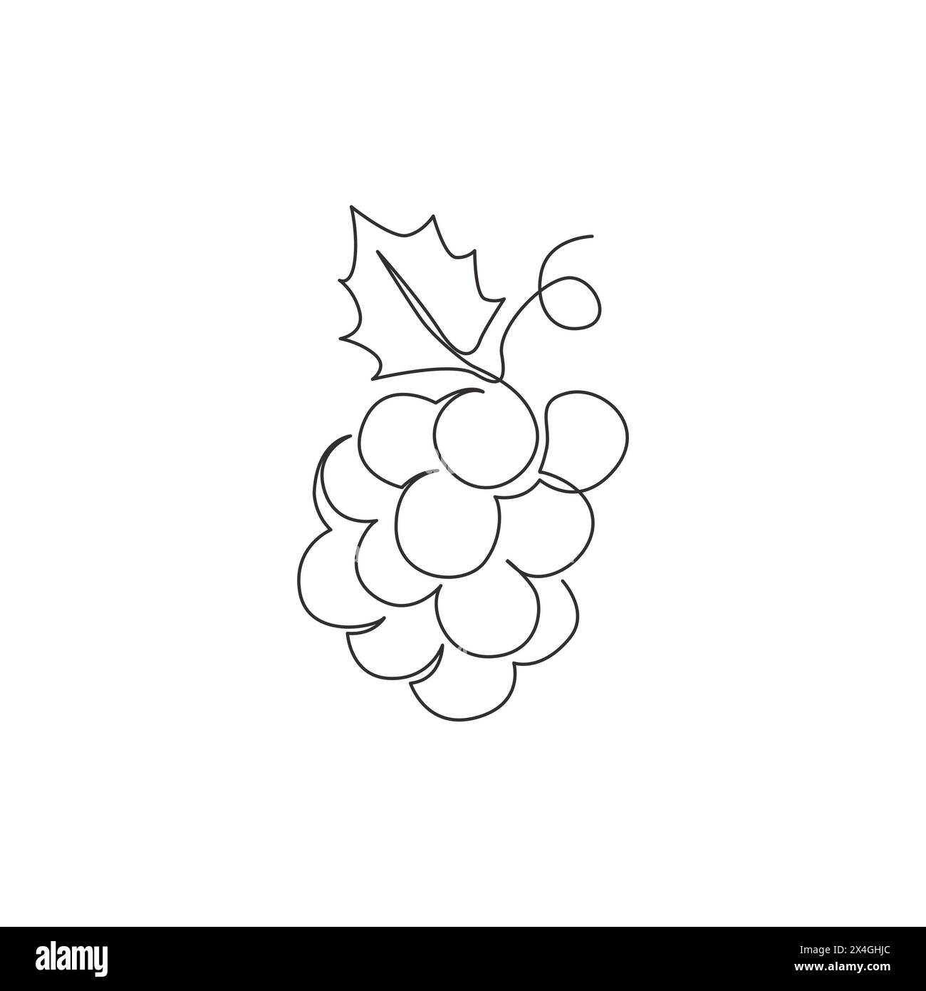 Single continuous line drawing healthy organic grapes for vineyard logo ...