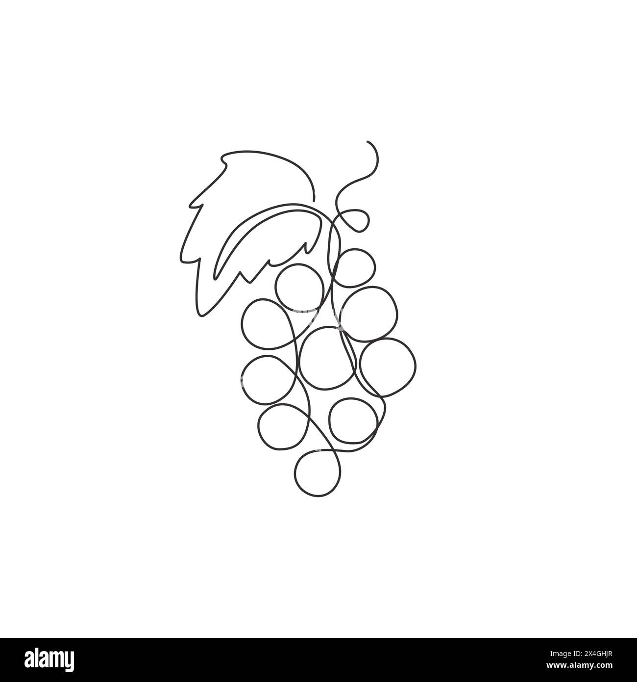 Single continuous line drawing healthy organic grapes for vineyard logo ...