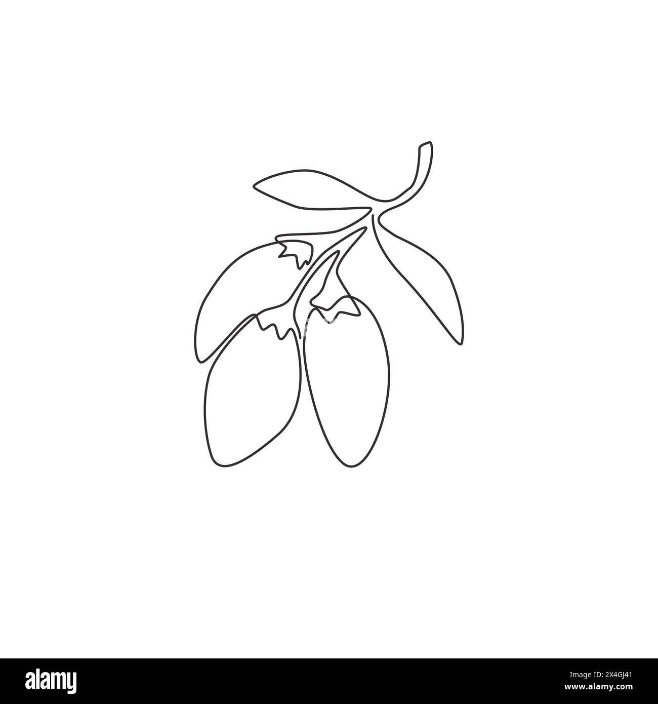 Goji berries superfood Stock Vector Images - Alamy