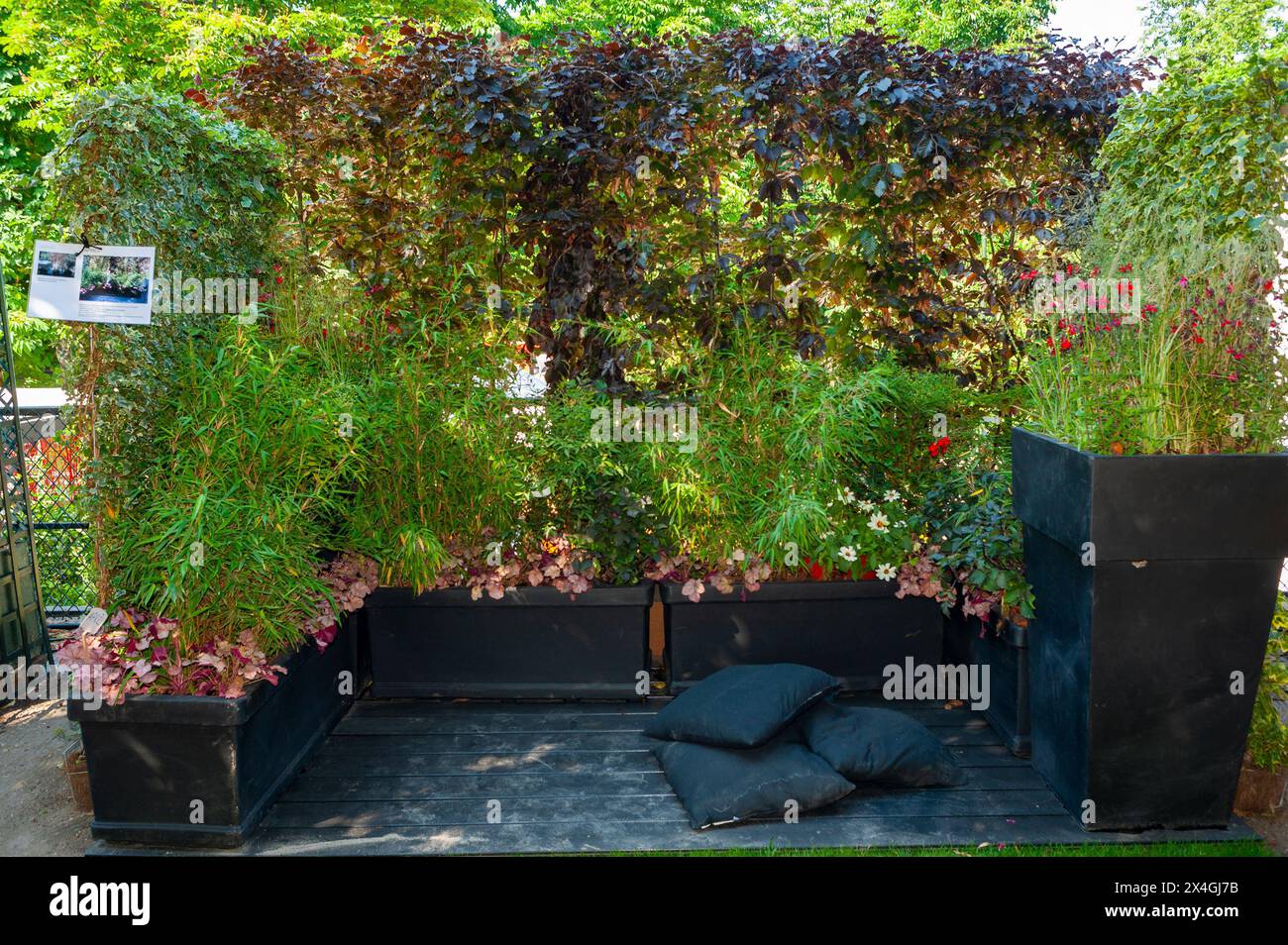Paris, France, Wide Angle View, Garden Festival, Jardin des Tuileries ...