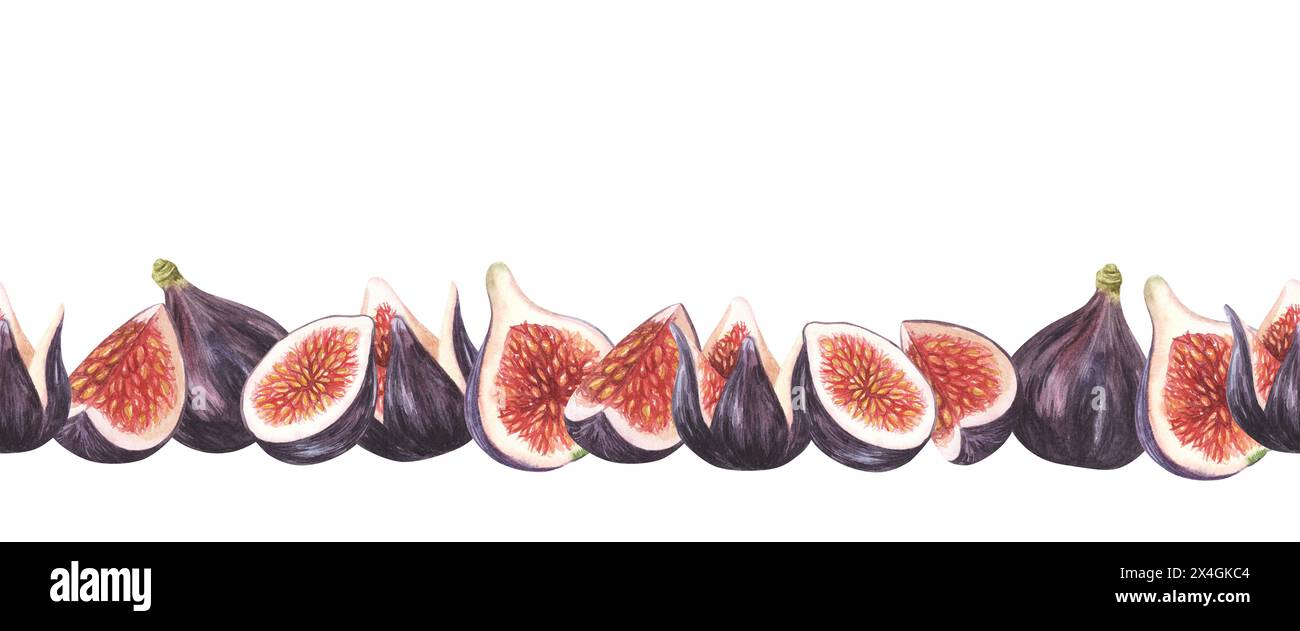 Fig seamless border. Halves, wholes, pieces of purple figs. Horizontal ...
