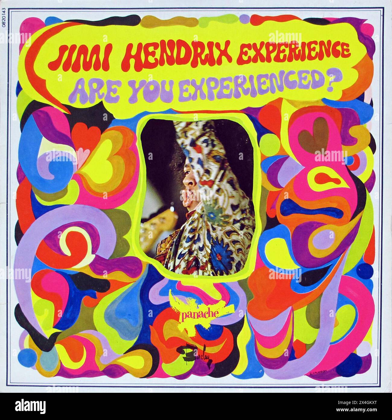 JIMI HENDRIX EXPERIENCE ARE YOU EXPERIENCED? - Vintage vinyl record ...