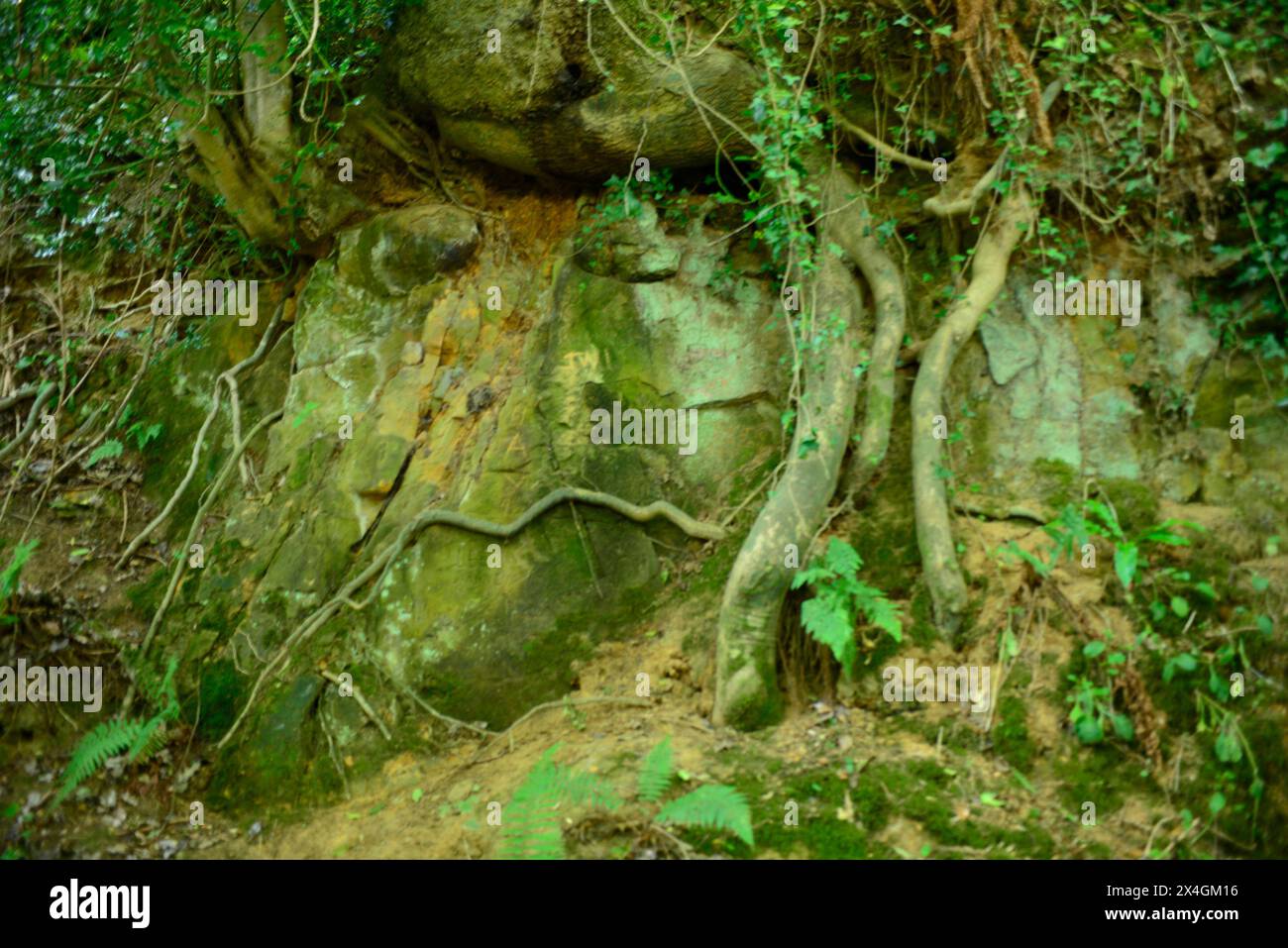Hell lane dorset hi-res stock photography and images - Alamy