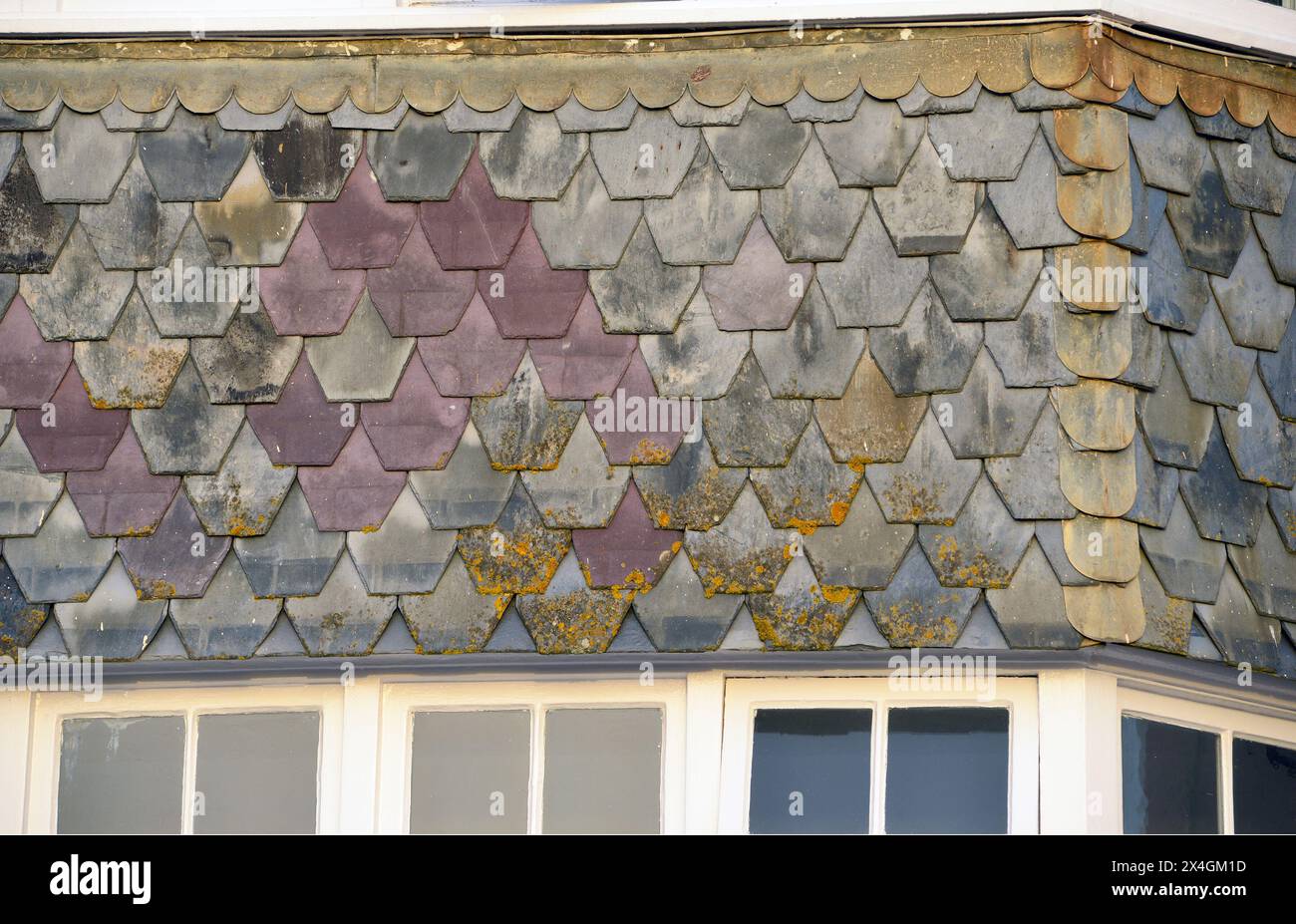 Pier Terrace, West Bay, showing fish-scale slates and mansard roof ...