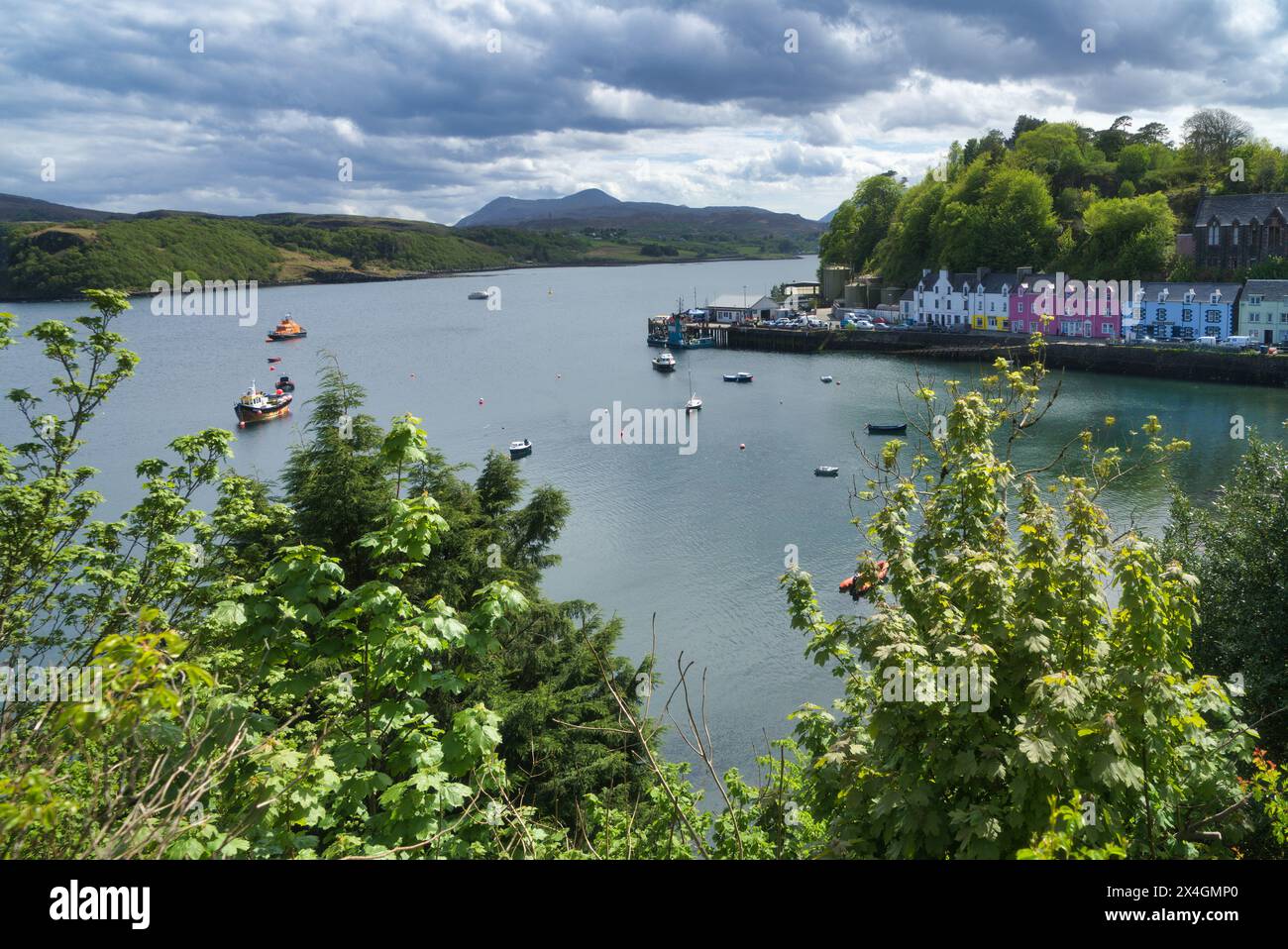 Penifiler hi-res stock photography and images - Alamy