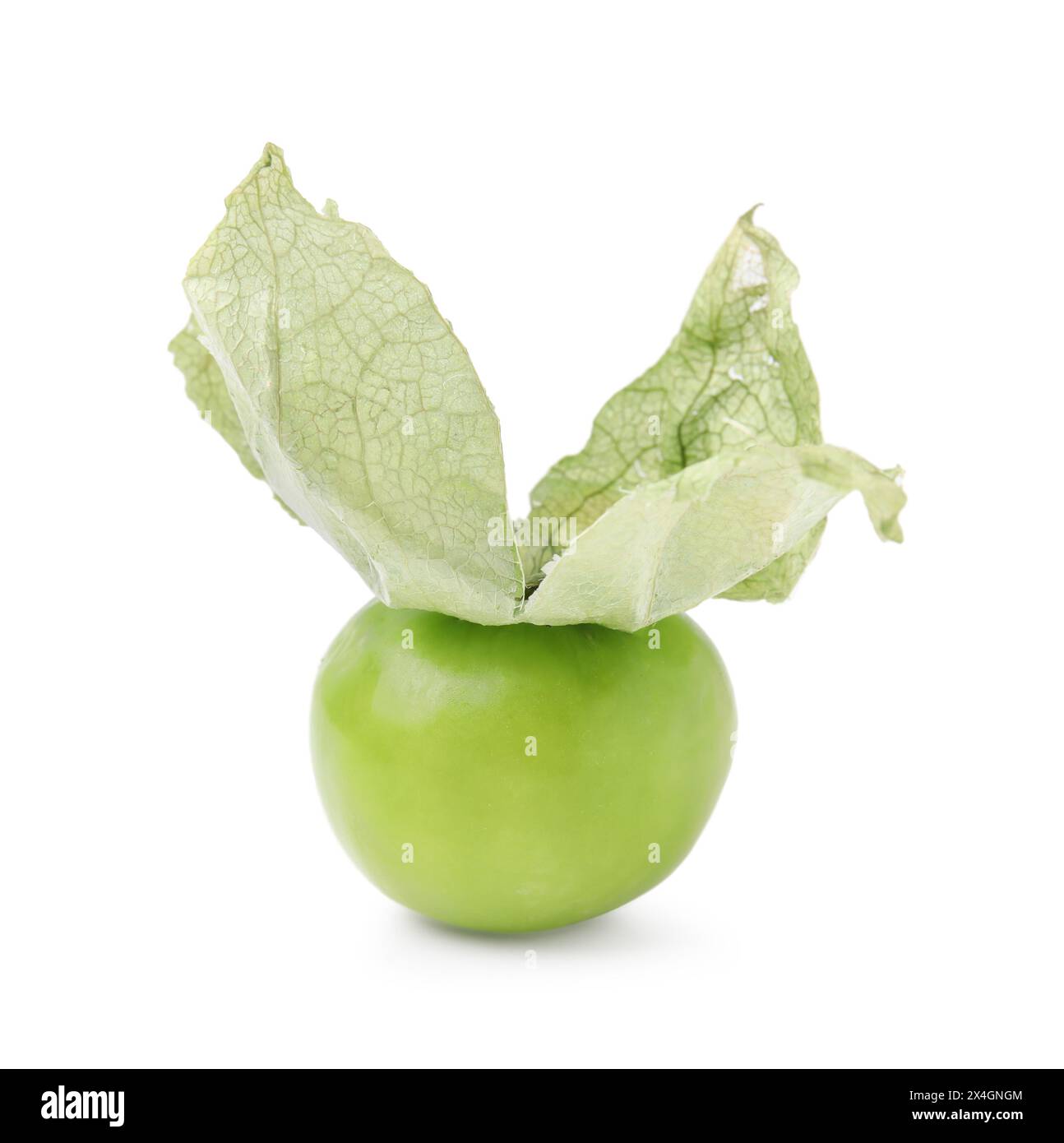 Fresh green tomatillo with husk isolated on white Stock Photo - Alamy