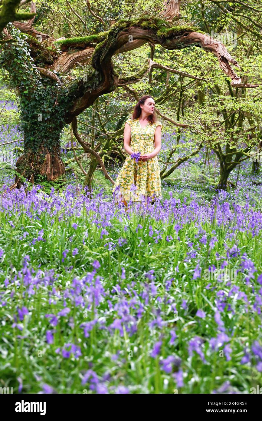 Meldon Woods, Okehampton, Dartmoor, Devon. 3rd May, 2024. UK Weather ...