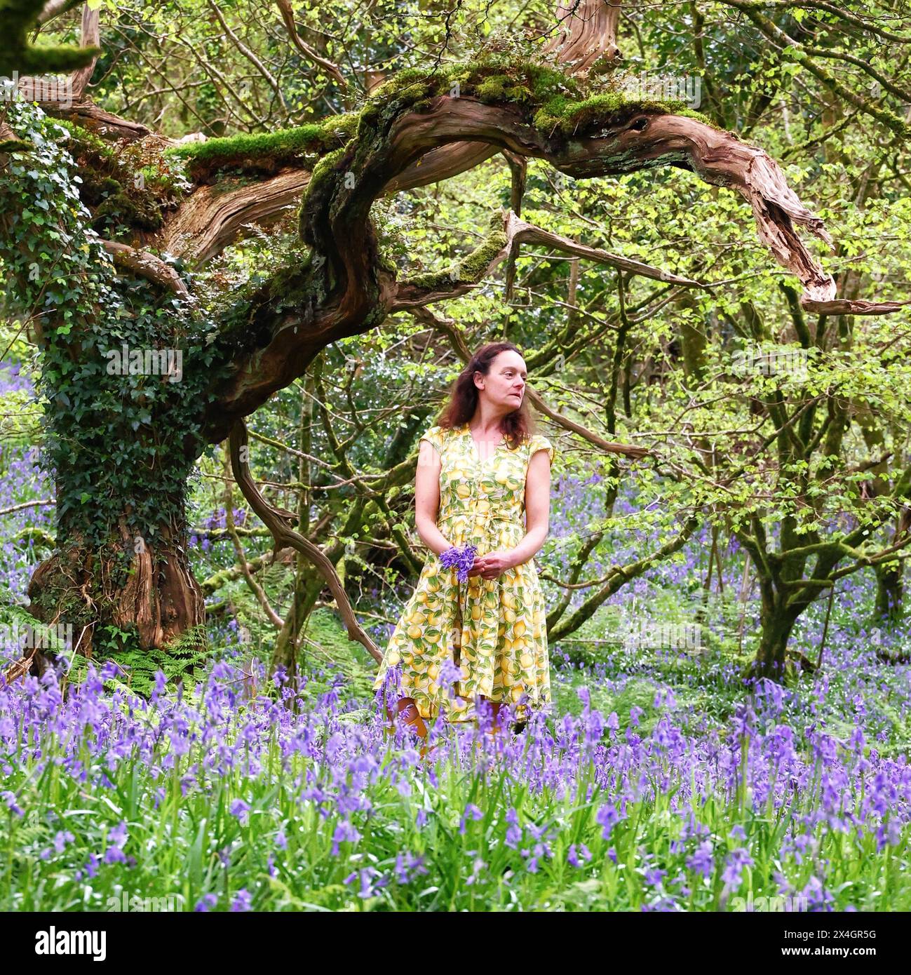Meldon Woods, Okehampton, Dartmoor, Devon. 3rd May, 2024. UK Weather ...