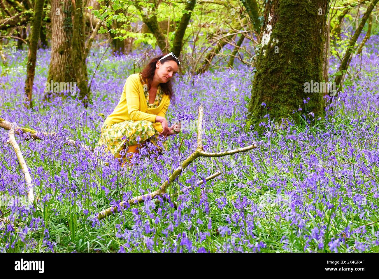 Meldon Woods, Okehampton, Dartmoor, Devon. 3rd May, 2024. UK Weather ...