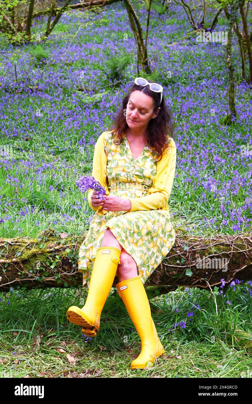 Meldon Woods, Okehampton, Dartmoor, Devon. 3rd May, 2024. UK Weather ...