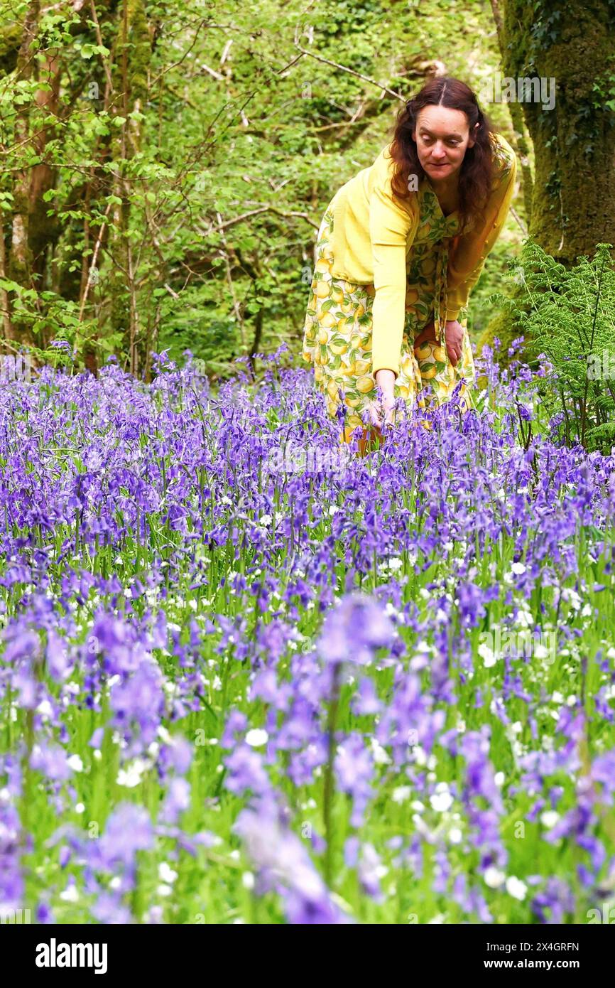 Meldon Woods, Okehampton, Dartmoor, Devon. 3rd May, 2024. UK Weather ...