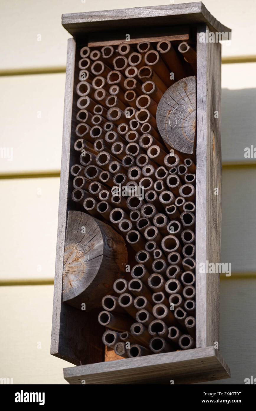 Solitary Bee House Stock Photo - Alamy