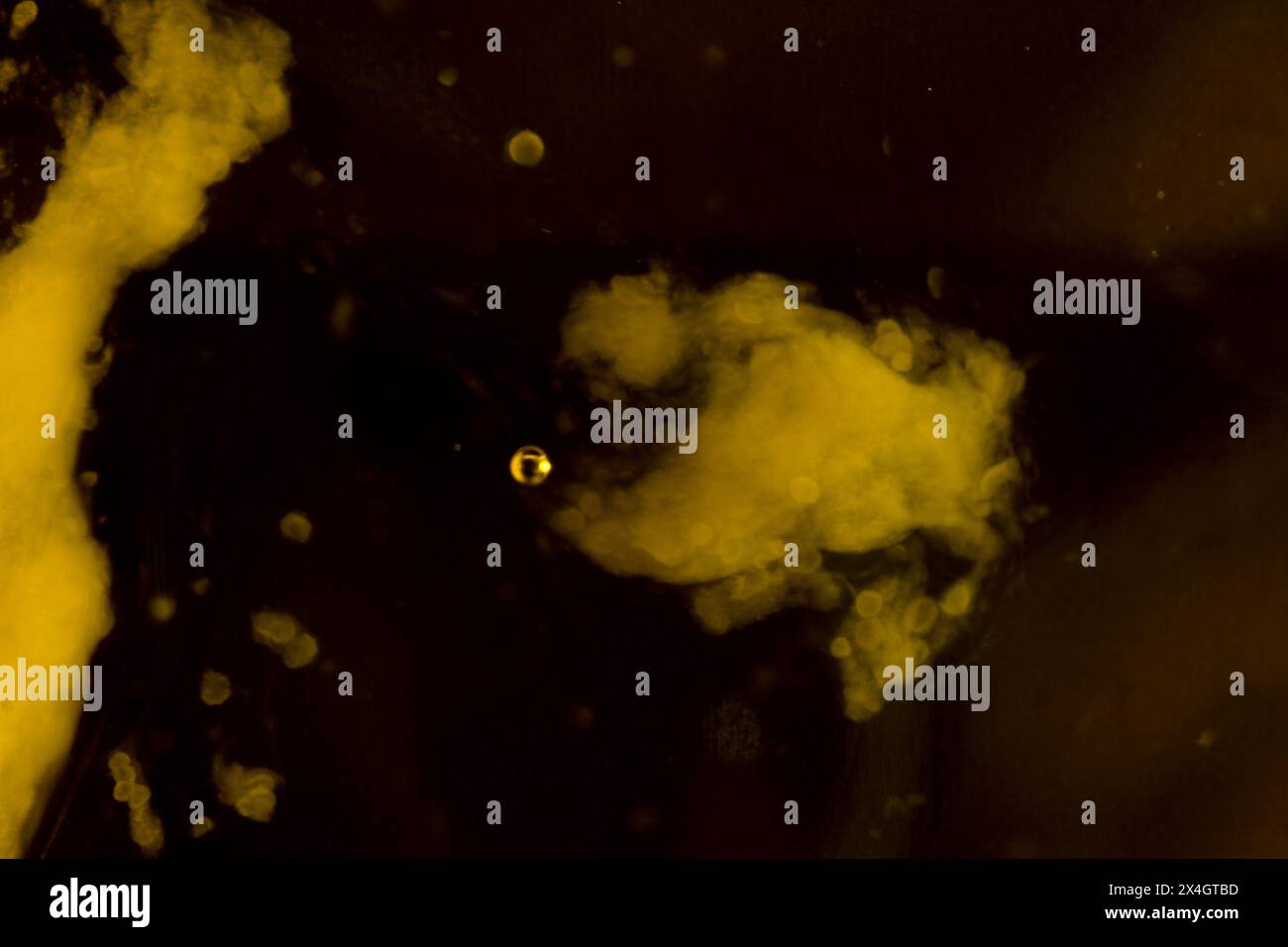Texture of virgin olive oil with solid grounds and bubbles due to the ...