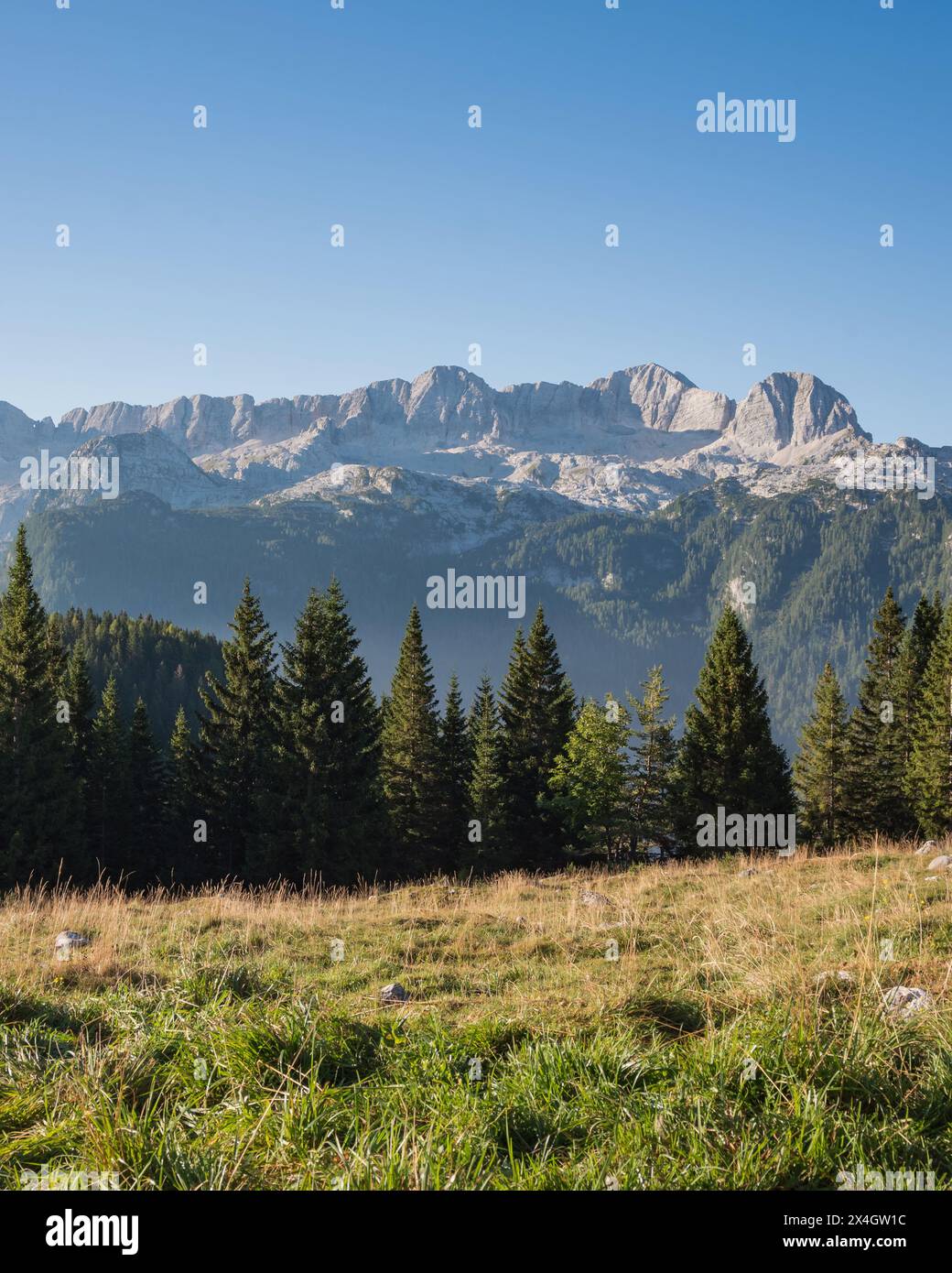 Majestic view of a mountain range and thick green forest, in the summer ...