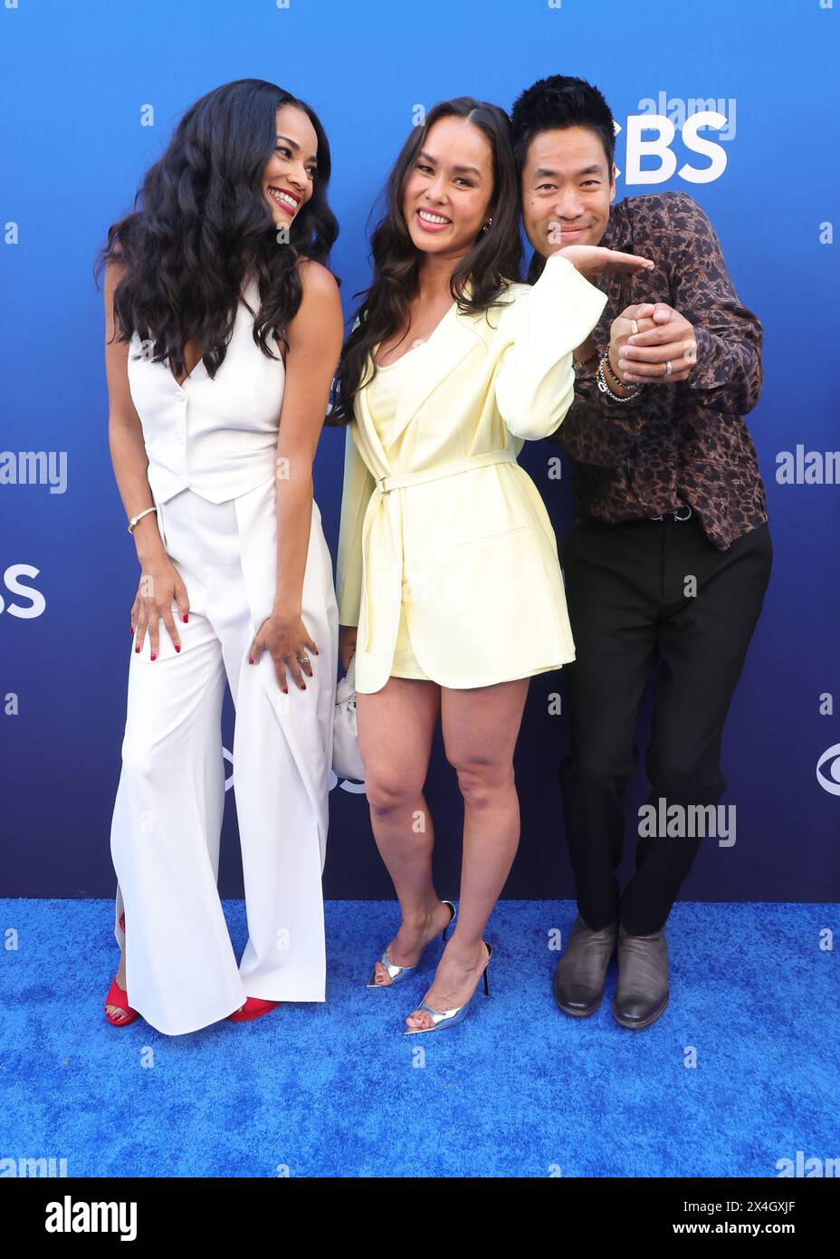 LOS ANGELES, CA - May 2: Rochelle Aytes, Anna Enger Ritch, David Lim at ...