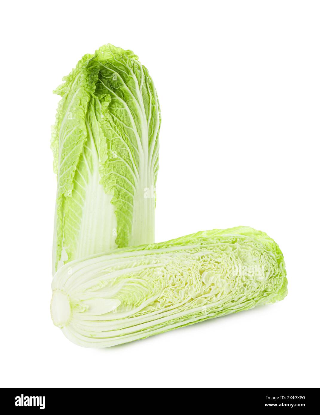 Fresh whole and cut Chinese cabbages isolated on white Stock Photo - Alamy