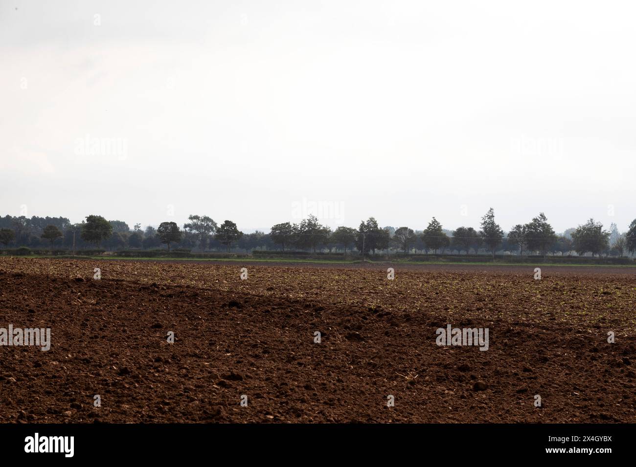 Borders management hi-res stock photography and images - Alamy