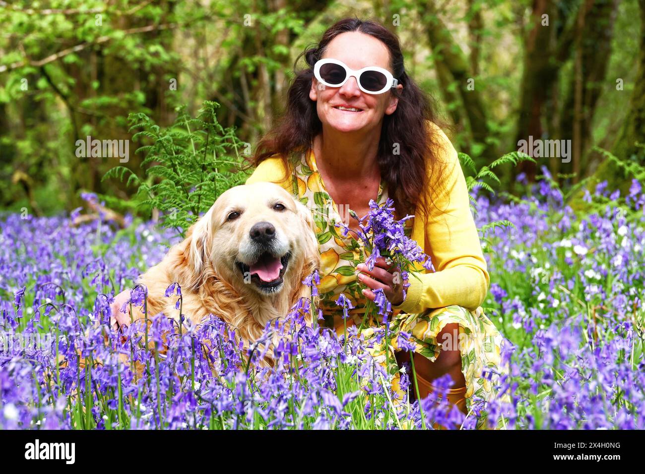 Meldon Woods, Okehampton, Dartmoor, Devon. 3rd May, 2024. UK Weather ...
