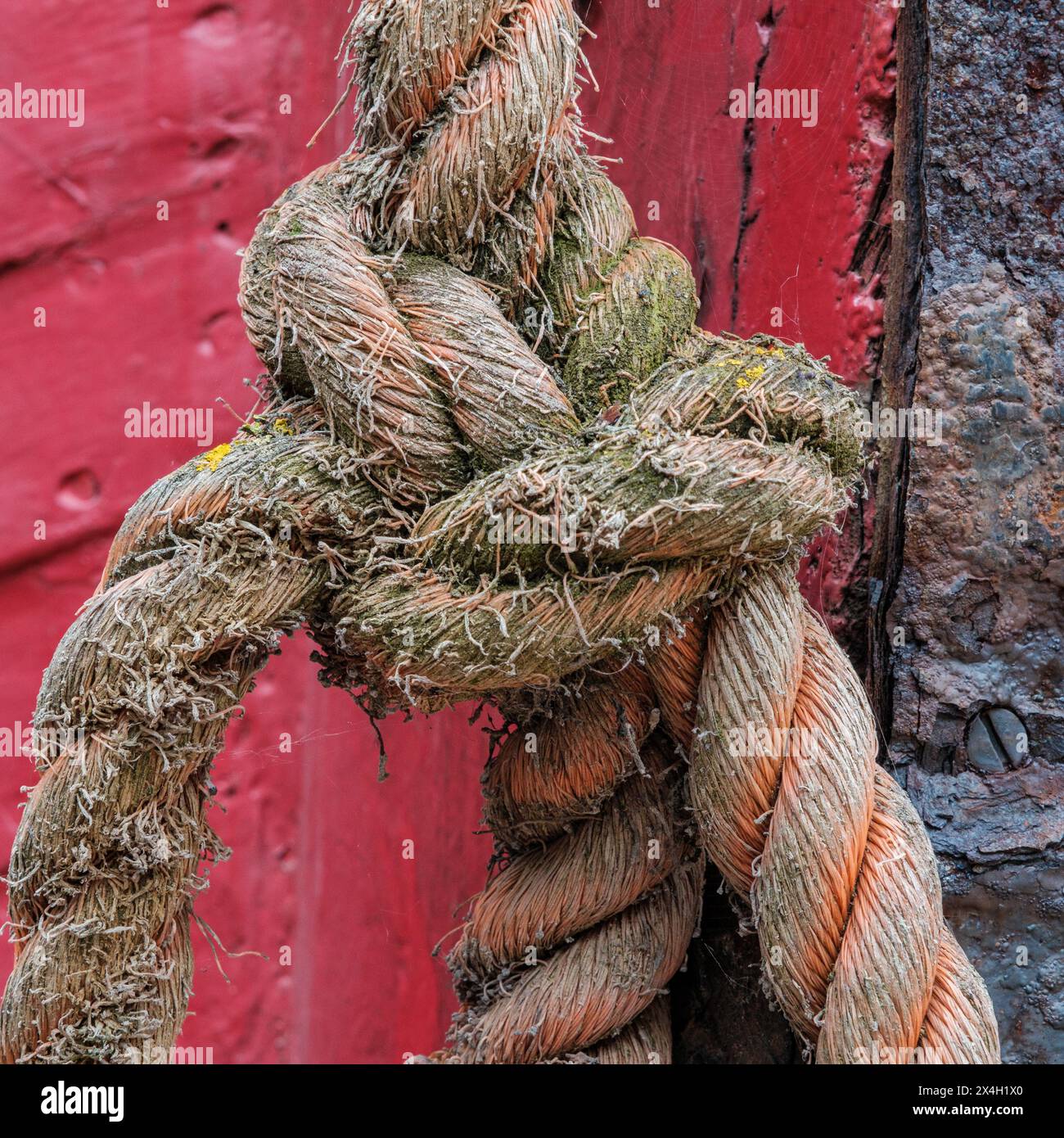 Old frayed knotted rope on prow of a boat Stock Photo - Alamy