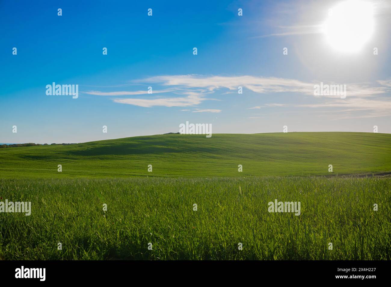 Windows xp hi-res stock photography and images - Alamy