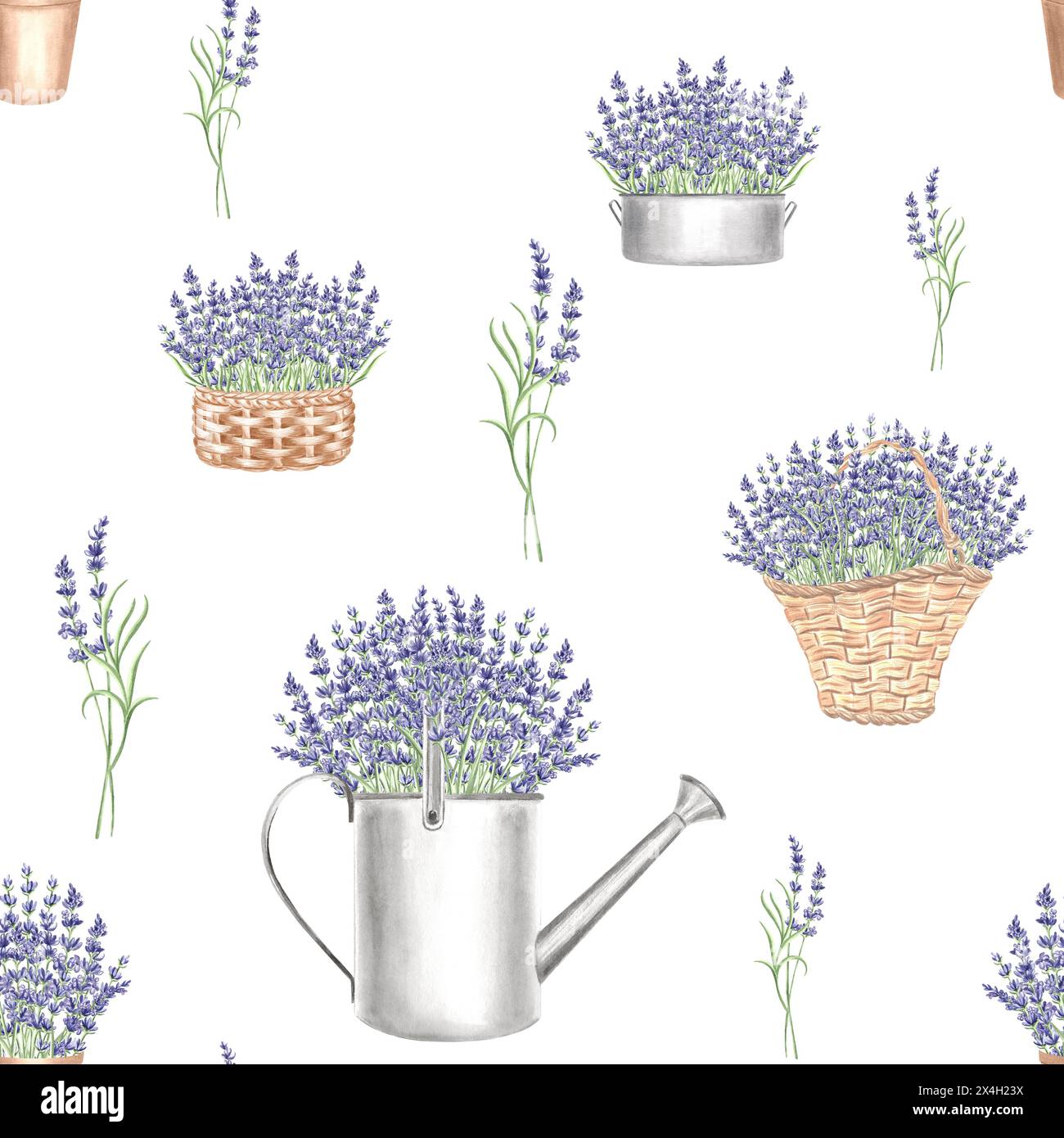 Lavender seamless pattern. Bouquet of purple flowers in pots and ...