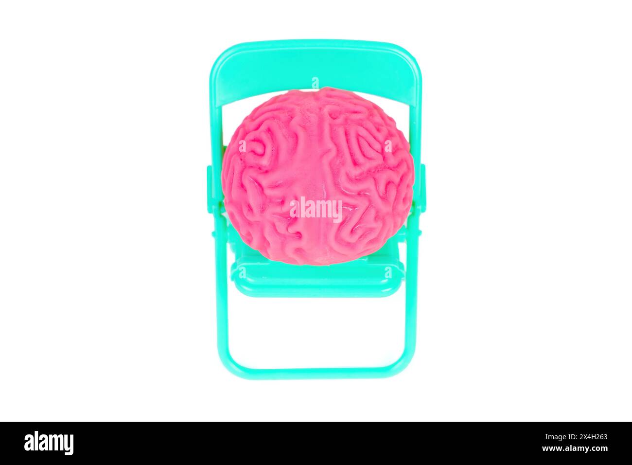 Anatomical seats Cut Out Stock Images & Pictures - Alamy