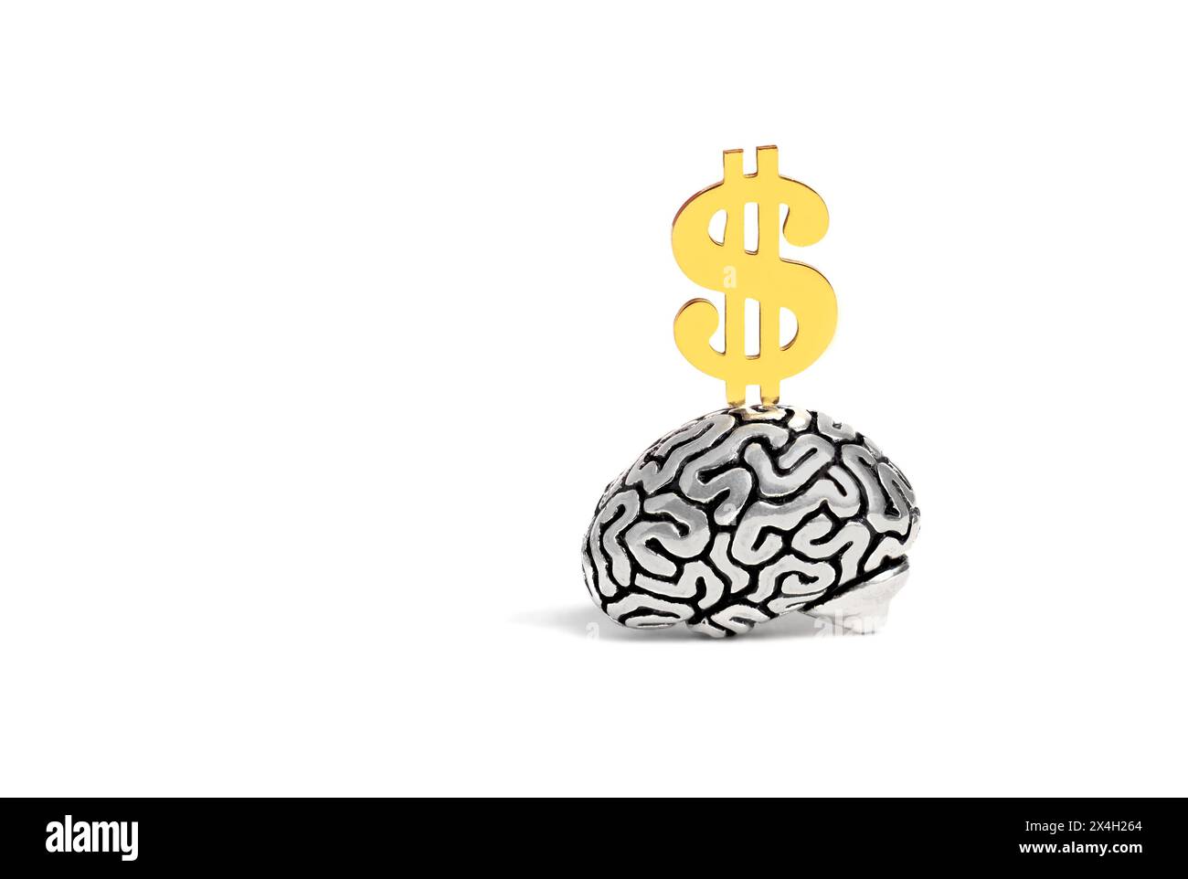 Close-up view of a silver plated human brain model with a golden dollar ...