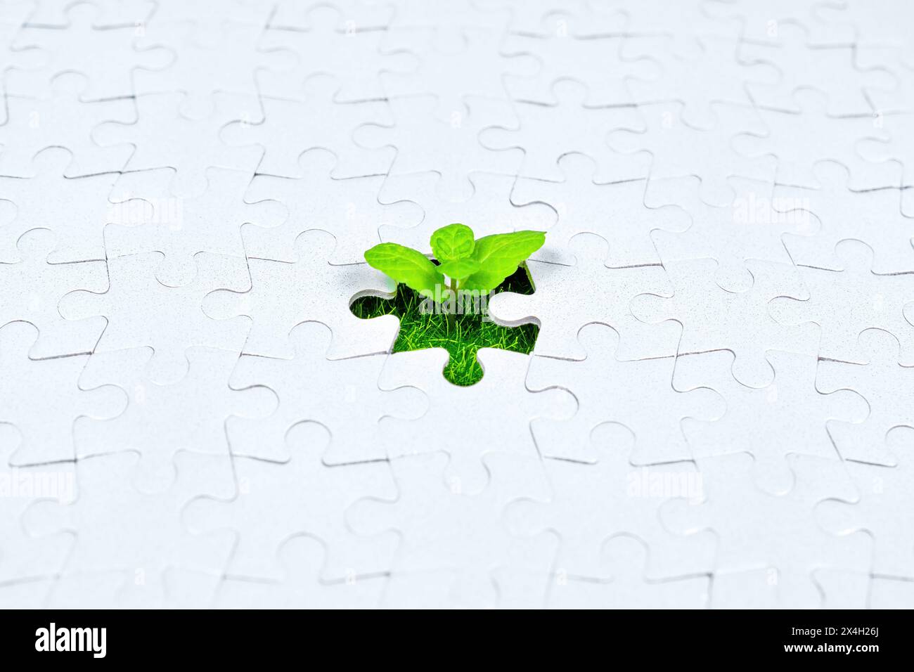 A close-up of a green sprout pushing through a small hole in a puzzle ...