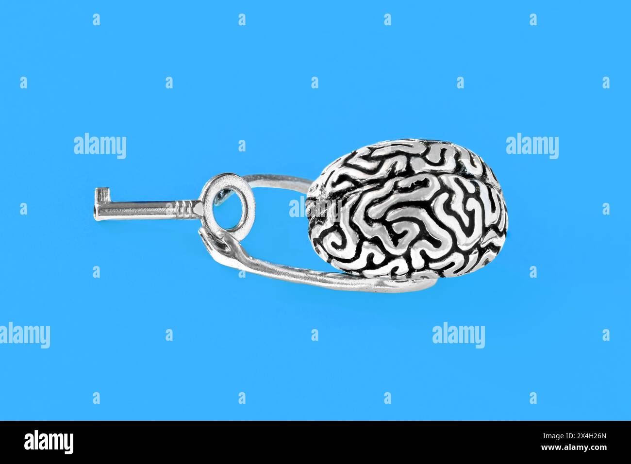 Human brain model holds a silver-toned key in cute hands isolated on ...