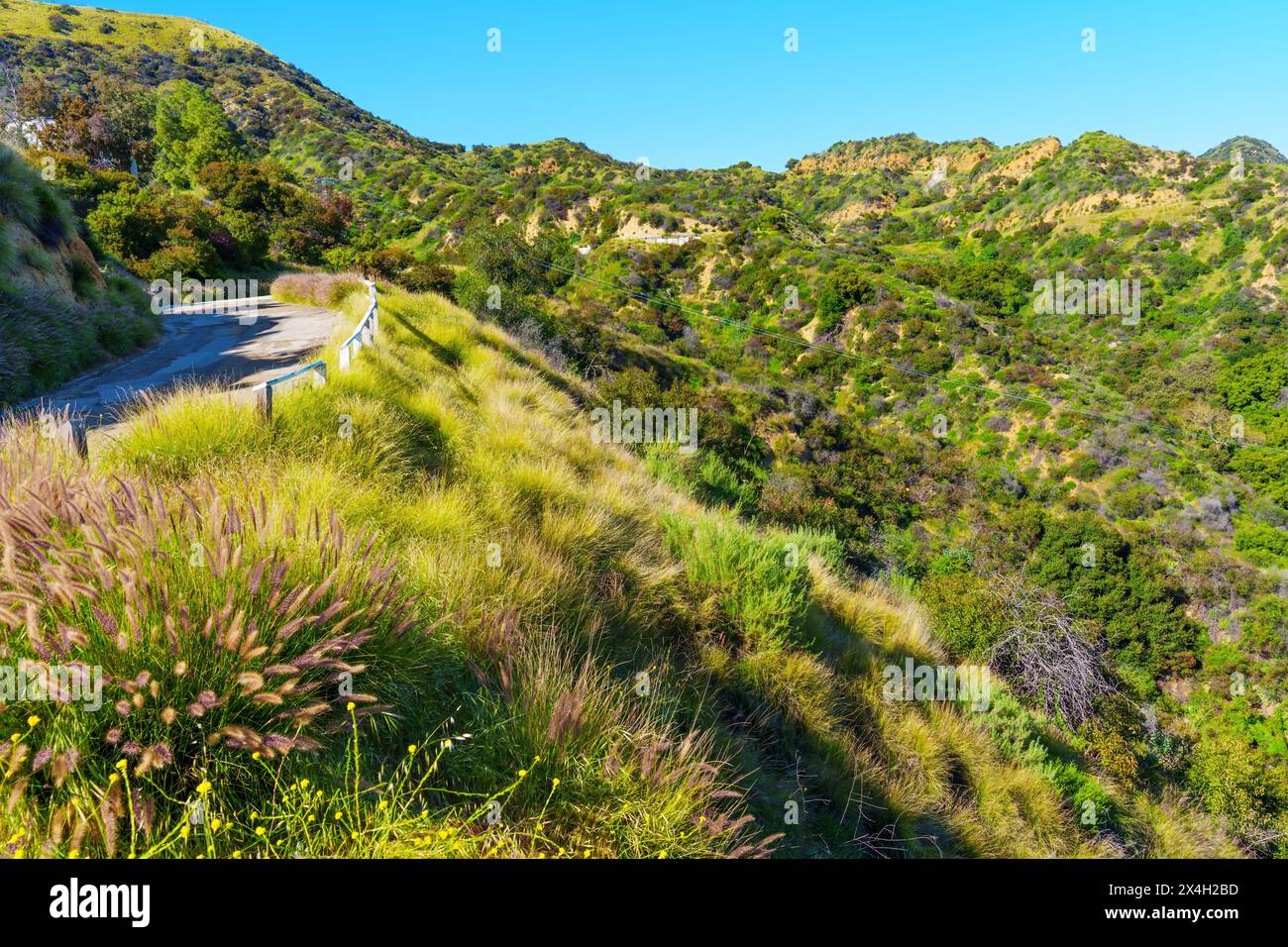 Section of the iconic Hollywood Hills hiking trail winding through the ...